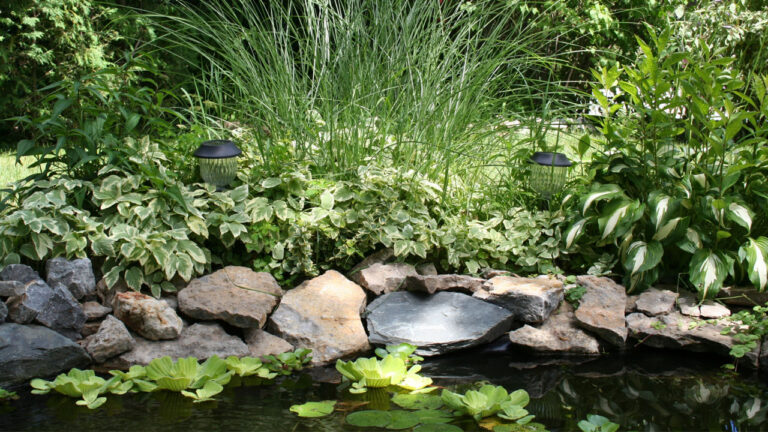 DIY Backyard Ponds: Step-by-Step Installation Guide - OC Pond and ...